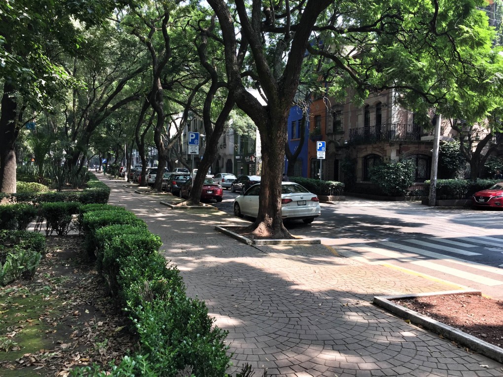 Best Neighborhoods in Mexico City – Condesa!