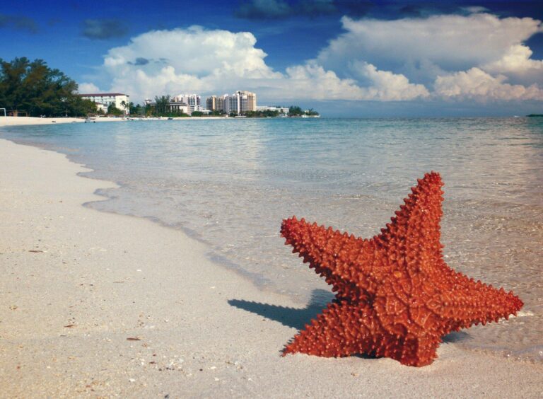 The Top 9 Destinations for a White Beach Sand Vacation